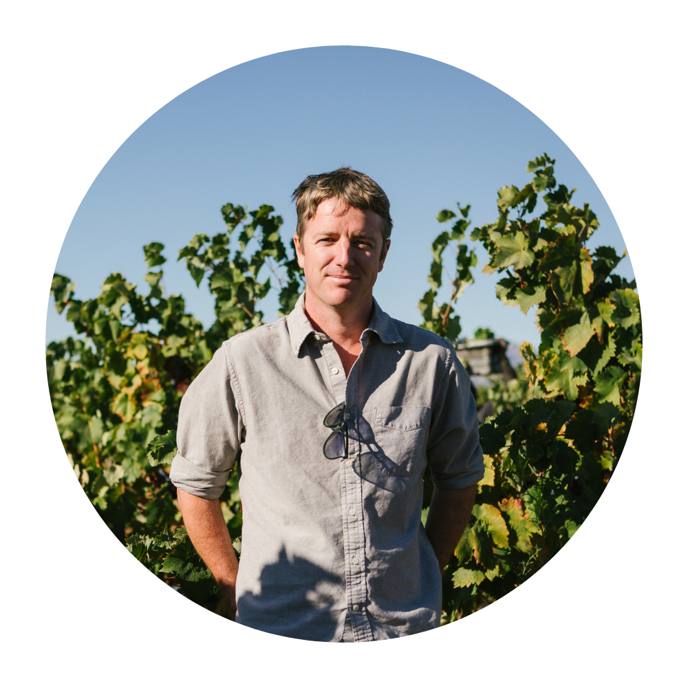 Product | Cline Family Cellars